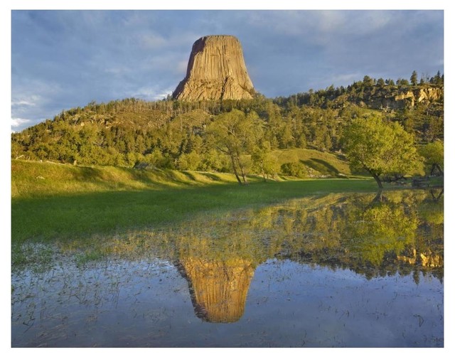 "Devil's Tower National Monument, basalt tower, sacred site" Paper Art ...