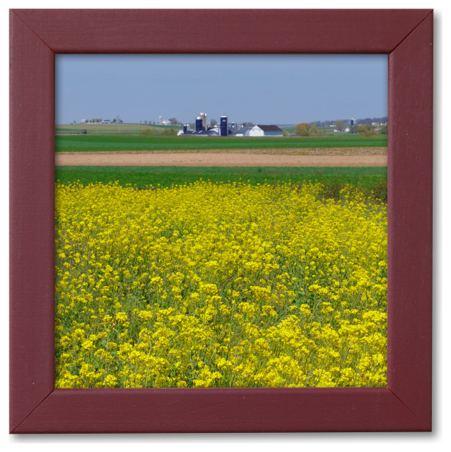 Bold Legacy .75" Frame, 13"x19" - Transitional - Picture Frames - by ...