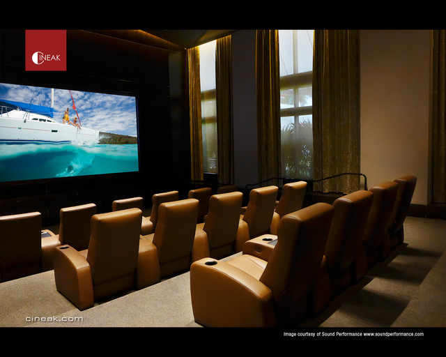Amazing Theater with seats by CINEAK SEATING - Contemporary - Home ...
