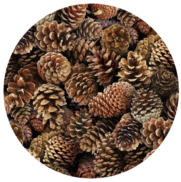 Andreas Pinecones Casserole Trivet - Contemporary - Trivets - by Andreas | Houzz