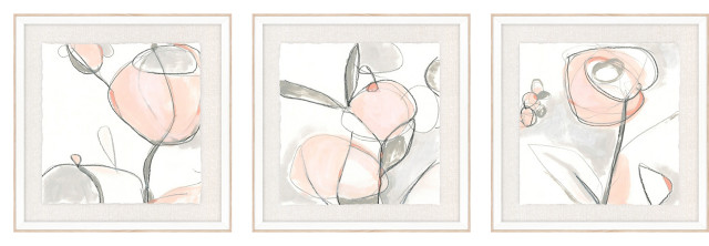 Blush Affinity I Artwork, 3-Piece Set - Contemporary - Prints And Posters - by Paragon Decor | Houzz
