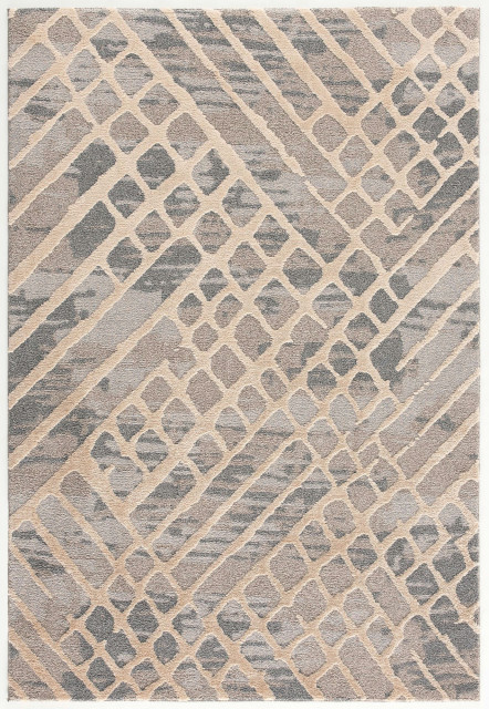 Amazon Az10415 Gray_Beige 7.10x10.6 Area Rug - Contemporary - Area Rugs ...
