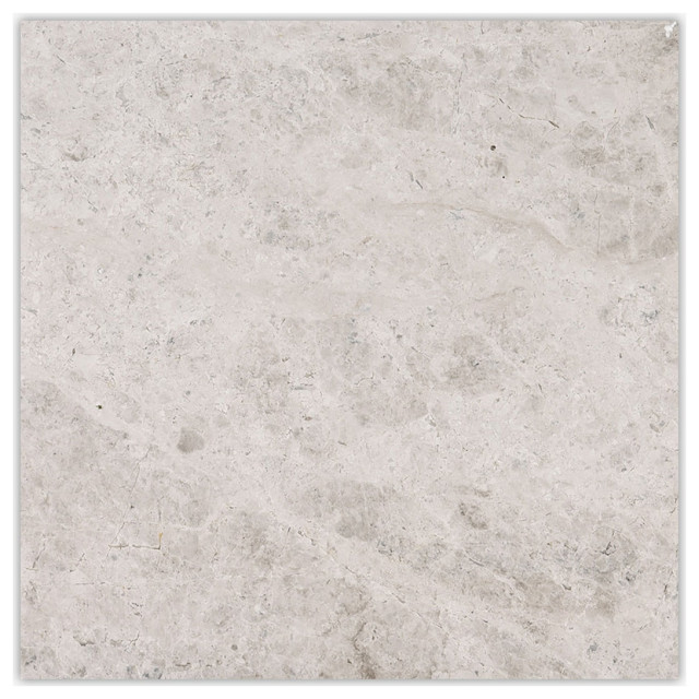 Tundra Gray Polished 18x18 Marble Tile, 18x18 - Traditional - Wall And ...
