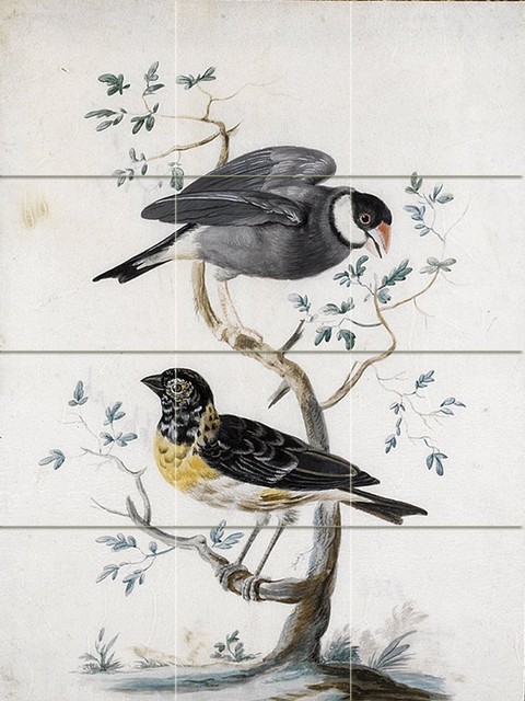 Tile Mural Two Exotic Birds Kitchen Bathroom Wall Backsplash, Four Inch ...