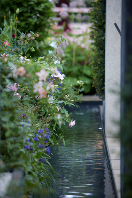 RHS Chelsea Flower Show 2019 - Modern - Garten - Sonstige - von Colm ...