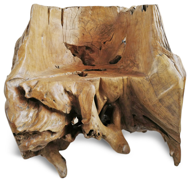 Free Form Burl Wood Root Chair - Rustic - Armchairs And Accent Chairs ...