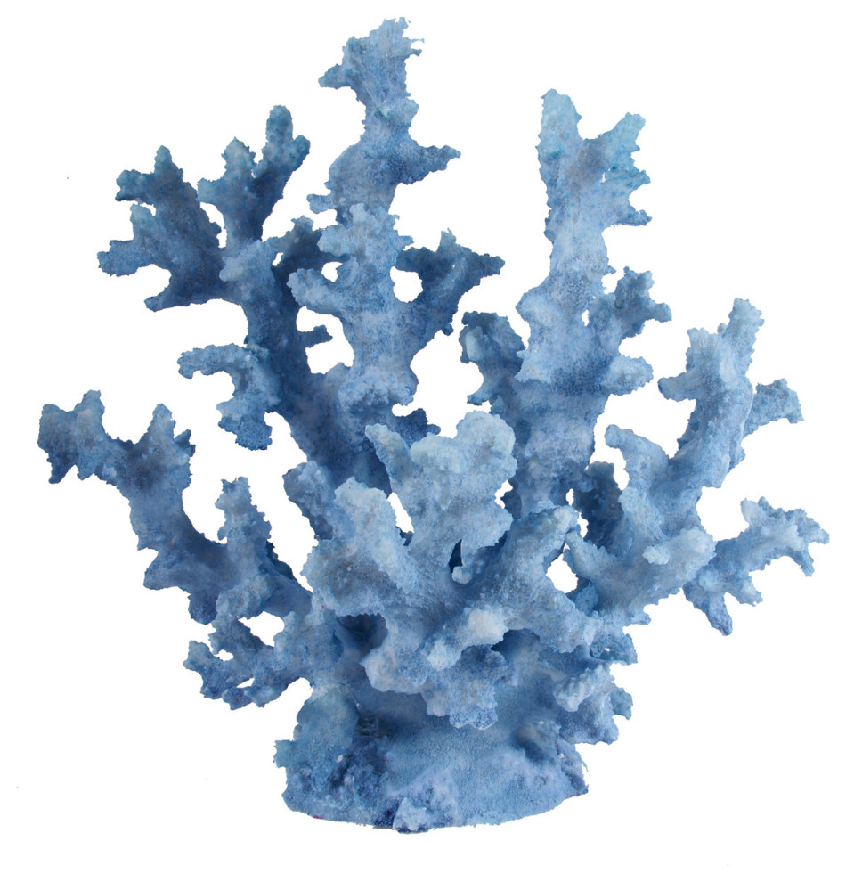 Coral , Blue - Beach Style - Decorative Objects And Figurines - by GwG ...