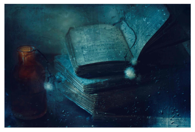 "Moonlight Shadows" Digital Paper Print by Delphine Devos, 20"x14", 50 ...