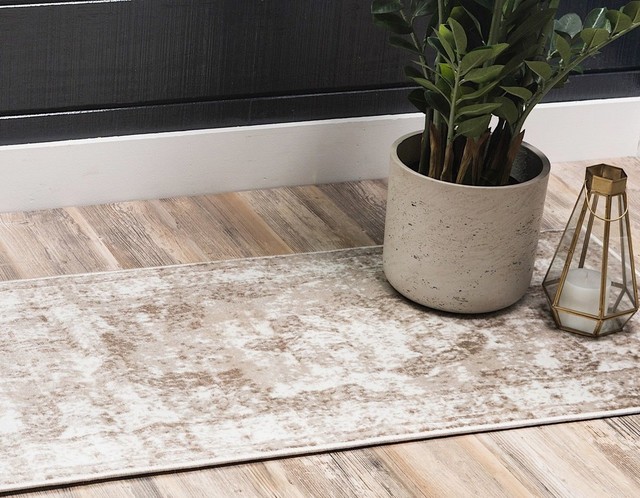 Transitional Sandrine Tan Area Rug, 4'x6' - Contemporary - Area Rugs ...