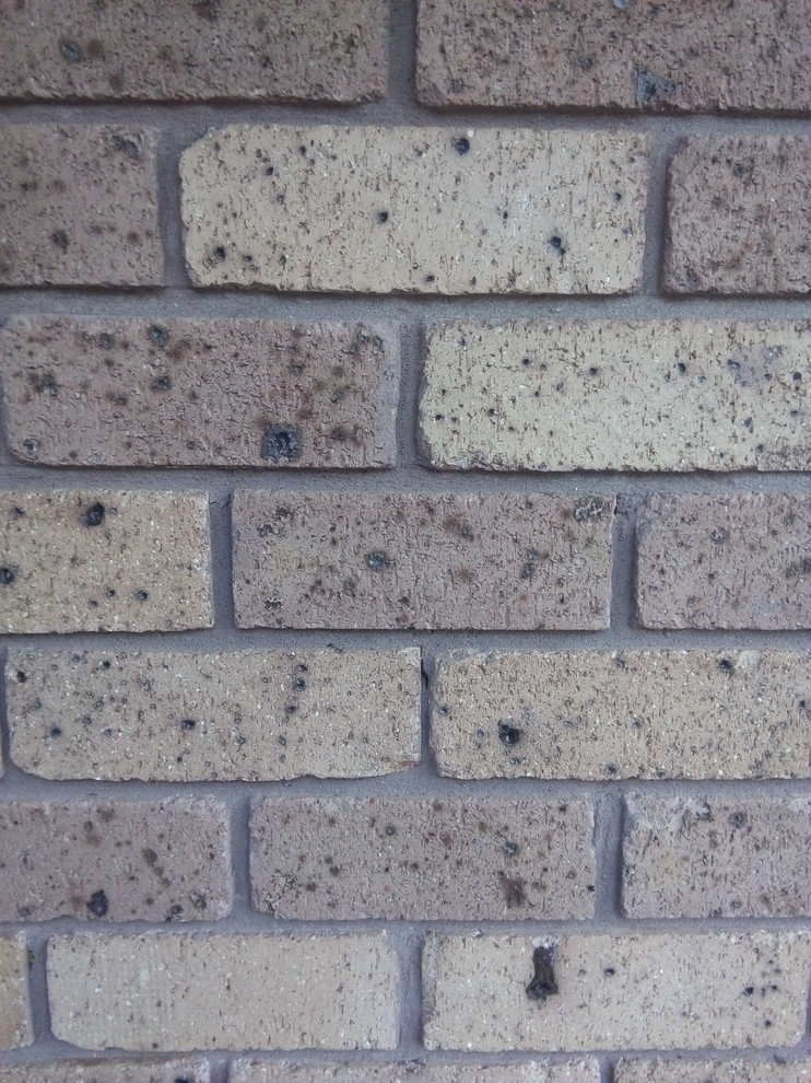 What are these bricks and best paint colour to match? | Houzz AU