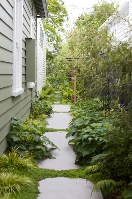 18 Slender Side Gardens With Plants for Shady Areas | Houzz AU