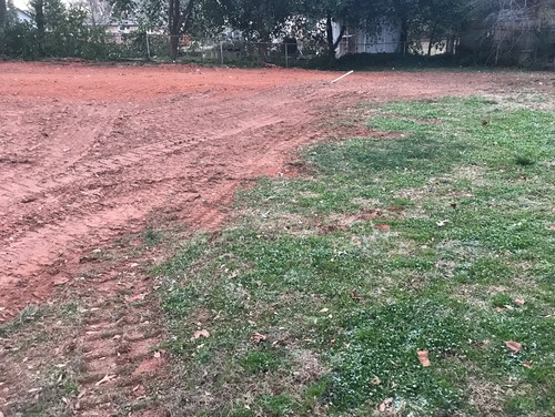 Georgia Red Clay Soil...What should we do?