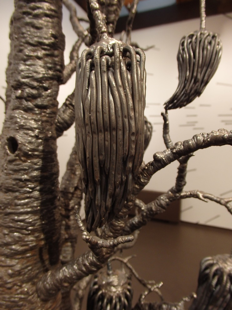 What is burrowing in this tree?