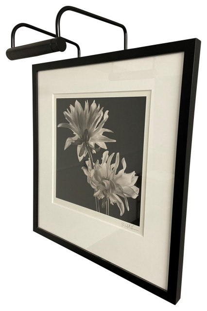 Slim-Line 6 Inch Black Picture Light - Transitional - Display And ...
