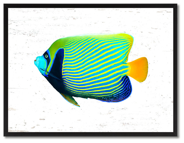 Aqua Tropical Fish Painting, 7"x9", 22"x29" - Beach Style - Prints And ...