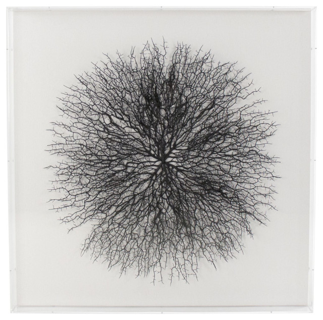 Abstract Branches, Acrylic Wall Art - Contemporary - Wall Accents - by ...