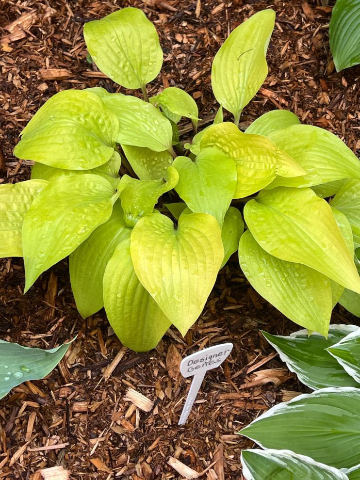 Well….I’m still singing….. “Here comes the Sun”