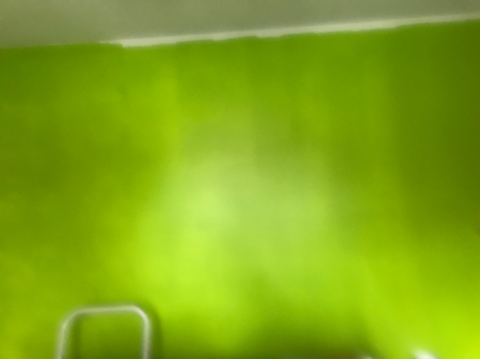 Tint Your Own Paint for New-Looking Walls