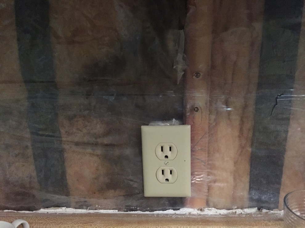 Kitchen wall renovation. Moldy insulation?