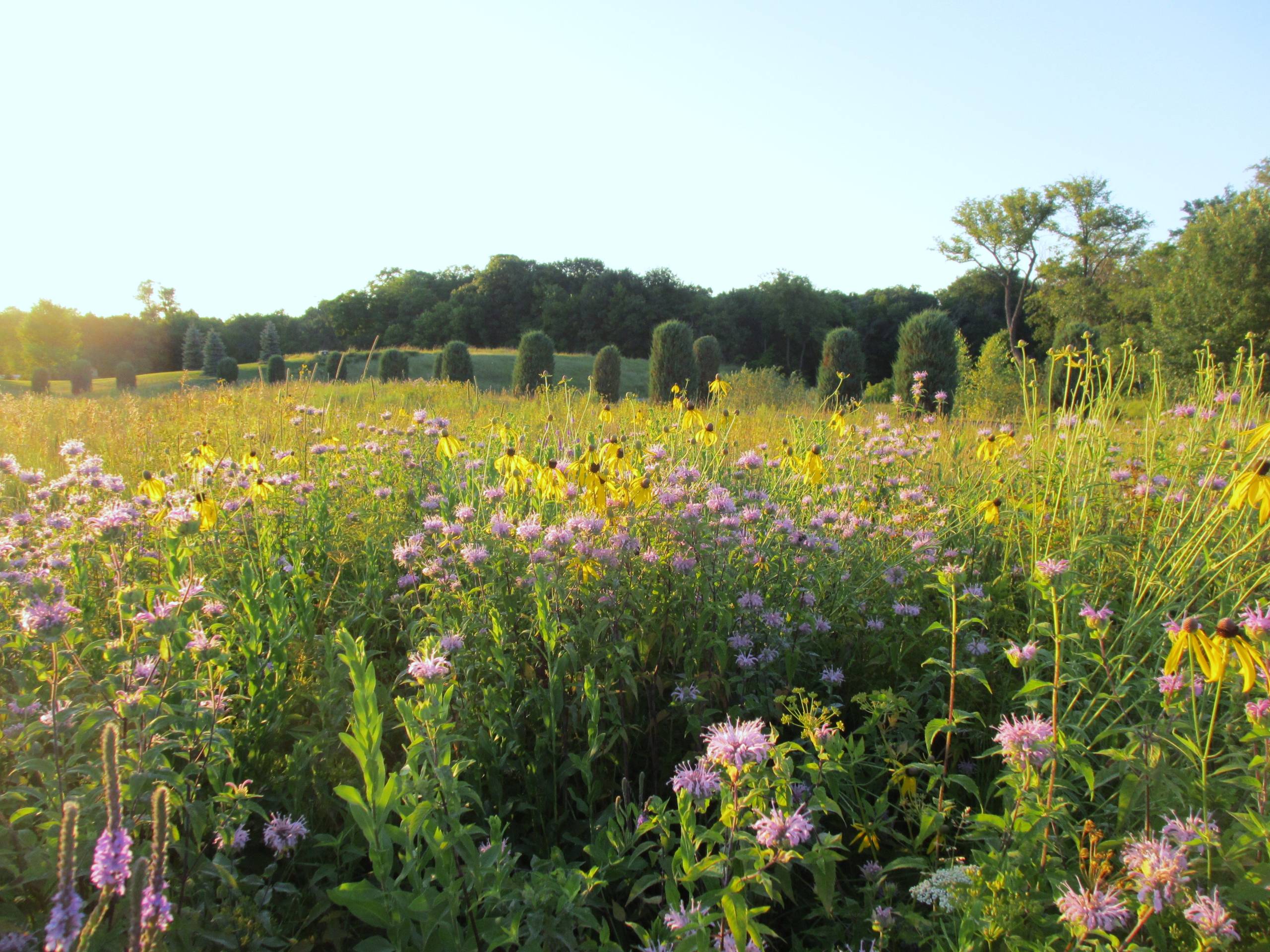 Prairie Style Landscape Design Frank Lloyd Wright Style Luxury Home In