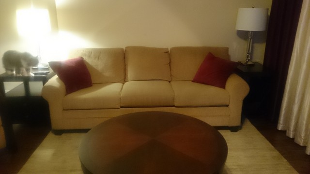 living room with only one end Table | Houzz Forum