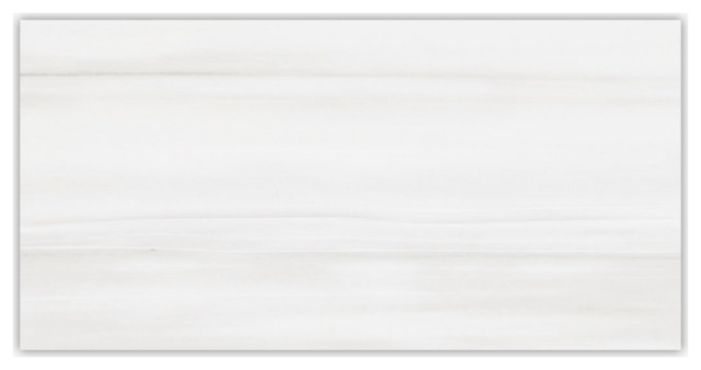 Dolomite White Polished 12x24 Porcelain Tile, 12x24 - Traditional ...
