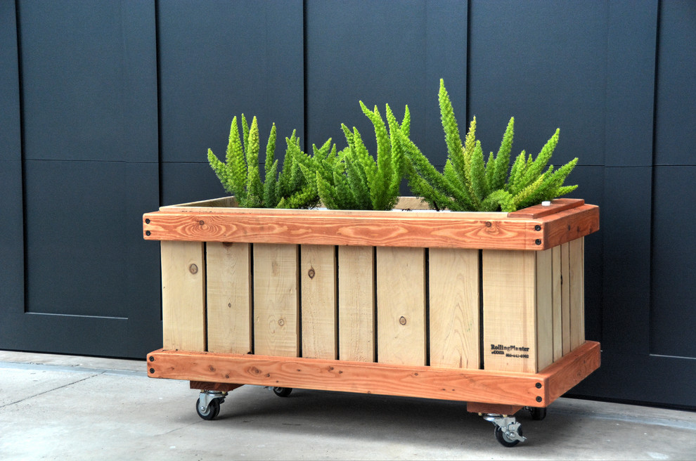 Rolling Planter M24 - Modern - Patio - Los Angeles - by RollingPlanter