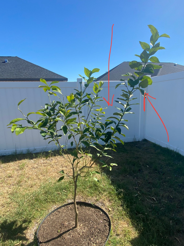 Is this a water shoot?