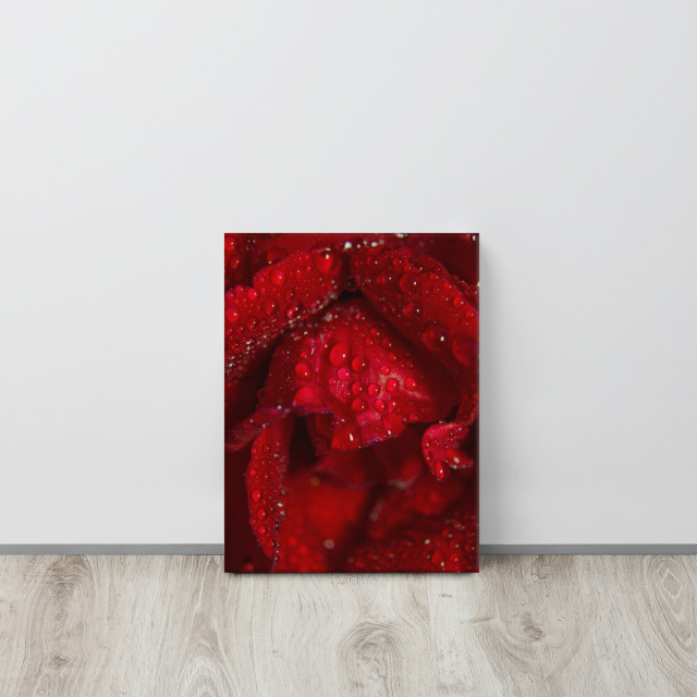 Royal Red Rose Floral Nature Photography Canvas Wall Art Print, 12" X ...