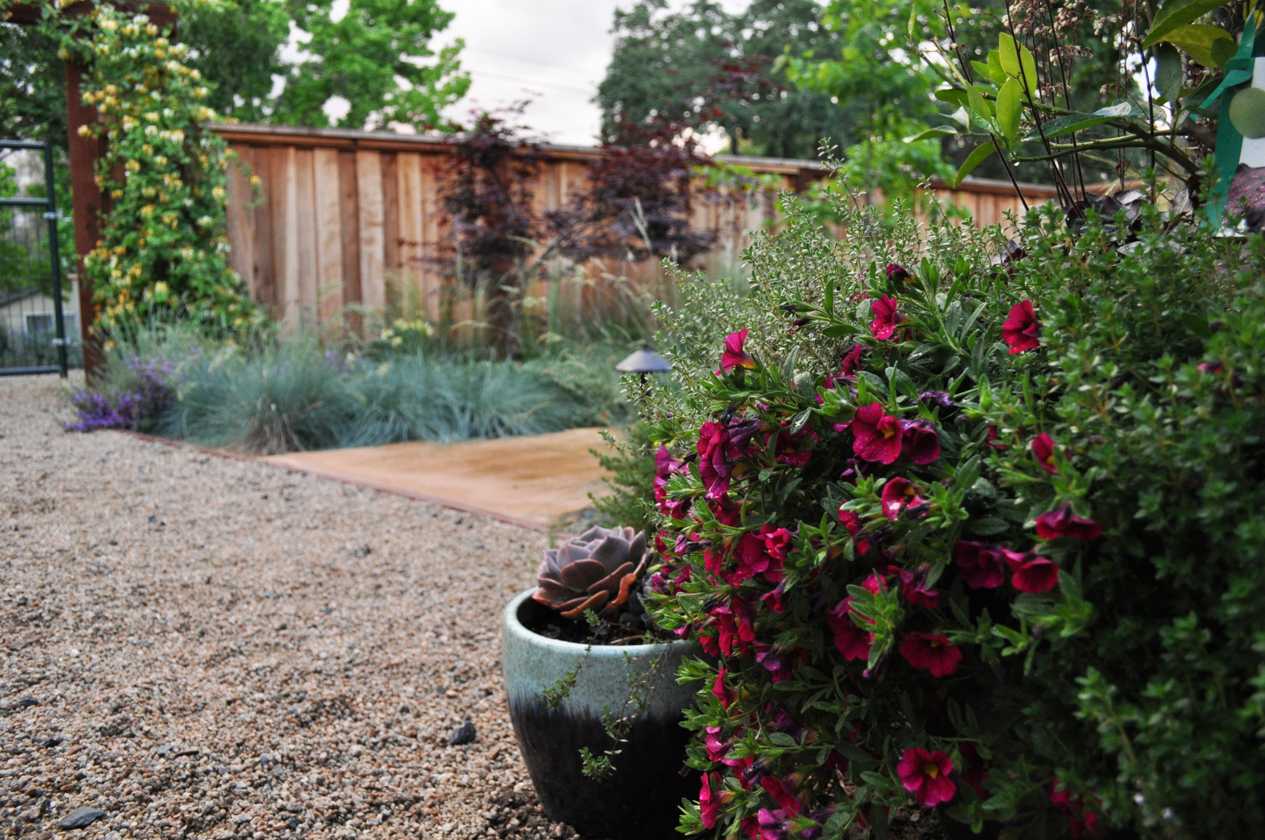 CAL WILD LANDSCAPE DESIGN