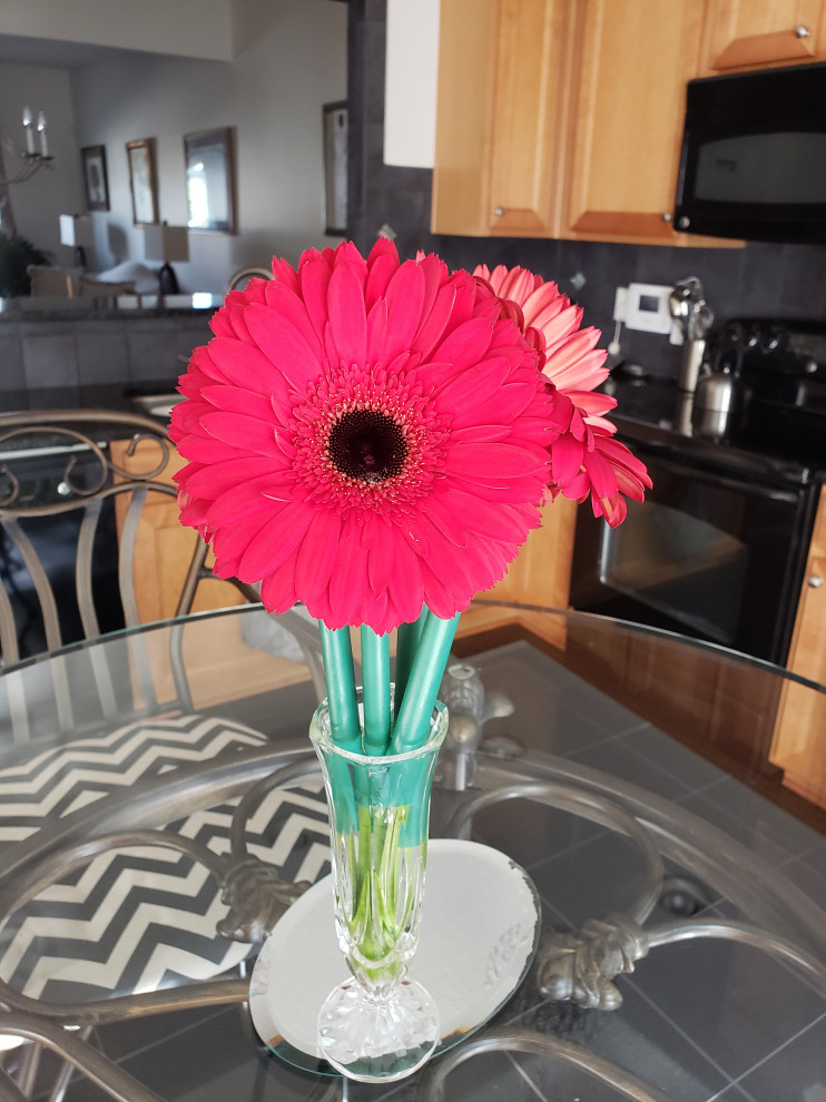 To-Dos: Your February Home Checklist