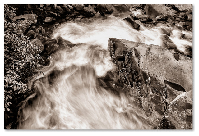 Bob Rouse 'Little Pigeon River Bw' Canvas Art, 16"x24" - Rustic ...