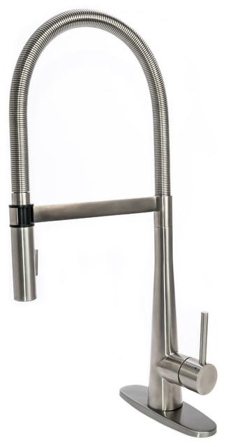 Solid Stainless Steel Gourmet Spring Kitchen Faucet with Deck Plate and ...