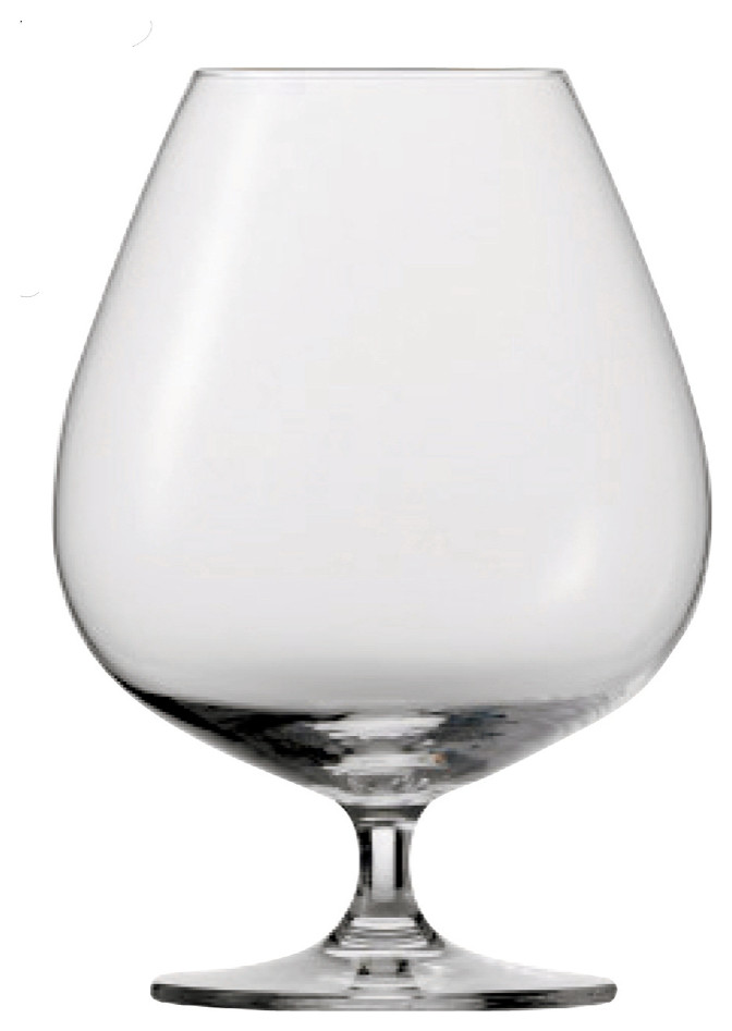 Fortessa Schott Zwiesel Bar Special 29 Ounce Cognac XXL Glass, Set of 6 ...