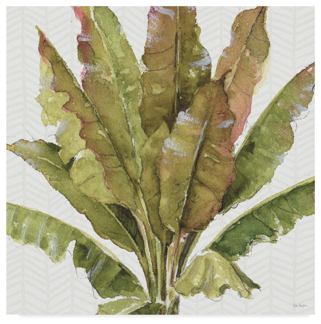 Lisa Audit 'Mixed Greens VII' Canvas Art, 35"x35" - Tropical - Prints ...
