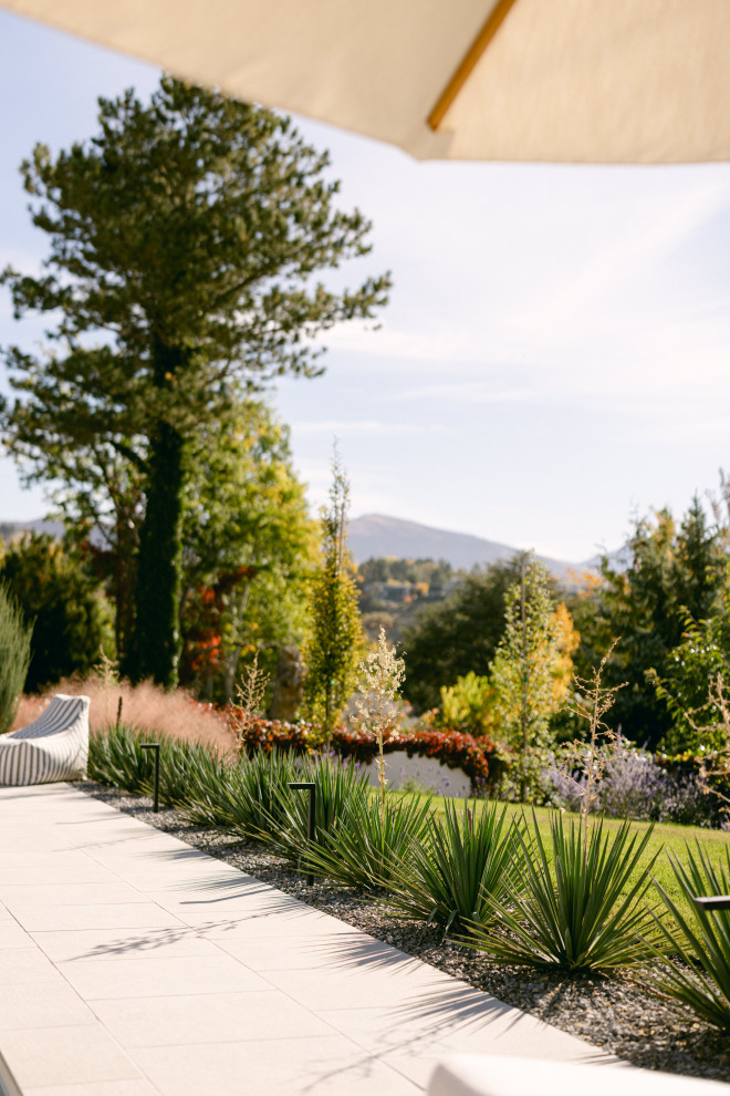 Yuca Plants For Backyard - Contemporary - Landscape - Salt Lake City ...