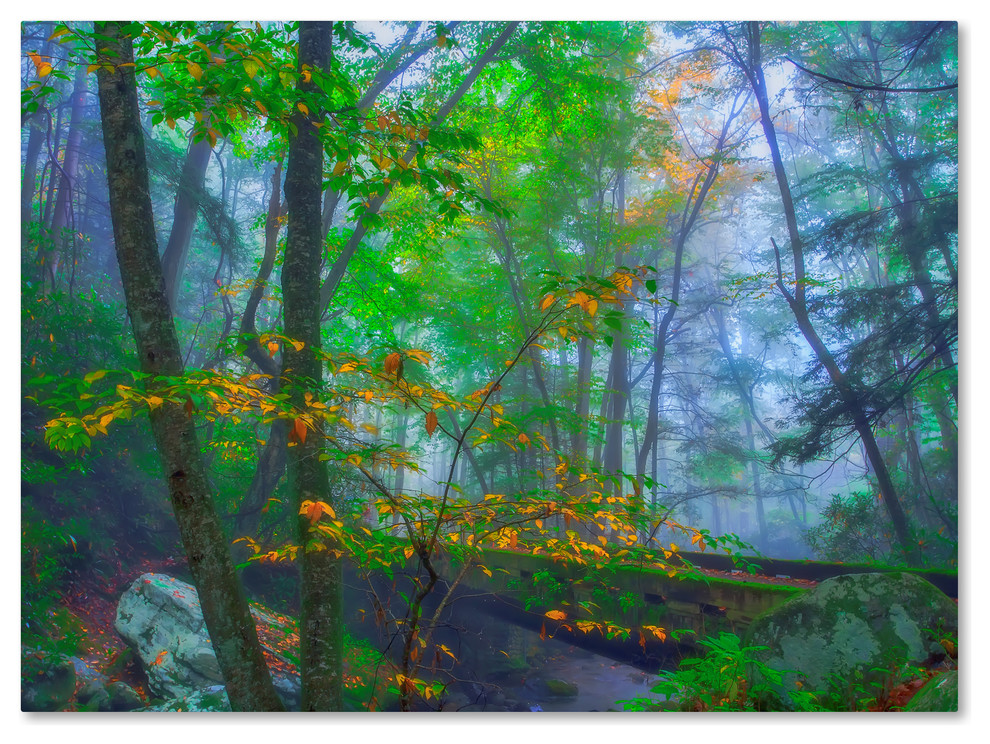 Bob Rouse 'Roaring Fork Fog' Canvas Art, 24"x18" - Contemporary ...