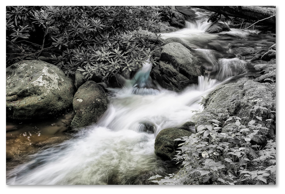 Bob Rouse 'Roaring Fork2 Bw' Canvas Art, 30"x47" - Rustic - Prints And ...