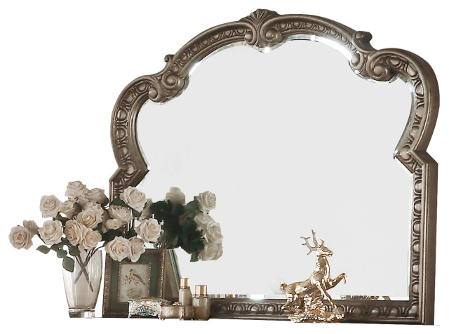 Acme Traditional Mirror With Antique Champagne Finish 26936, 48"L x 2.3 ...