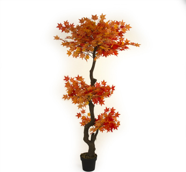 Faux Mini Maple Tree - Contemporary - Artificial Plants And Trees - by ...