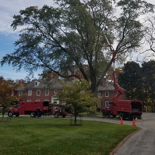 CRAWFORD TREE & LANDSCAPE SERVICES, INC. - Project Photos & Reviews ...