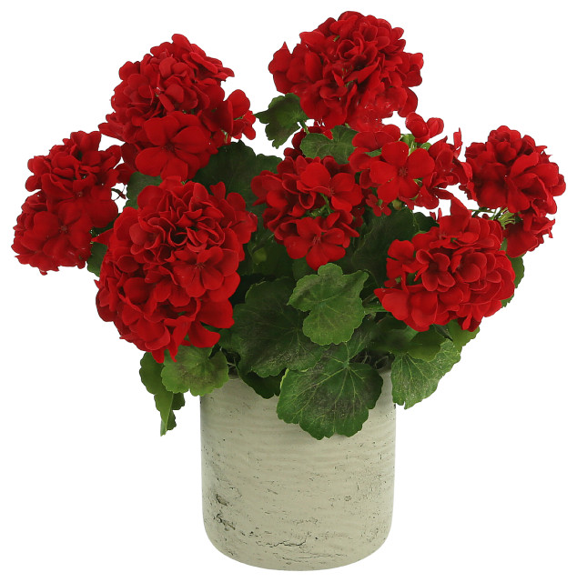 Creative Displays Red Geranium Arrangement in a Fiberstone Pot ...