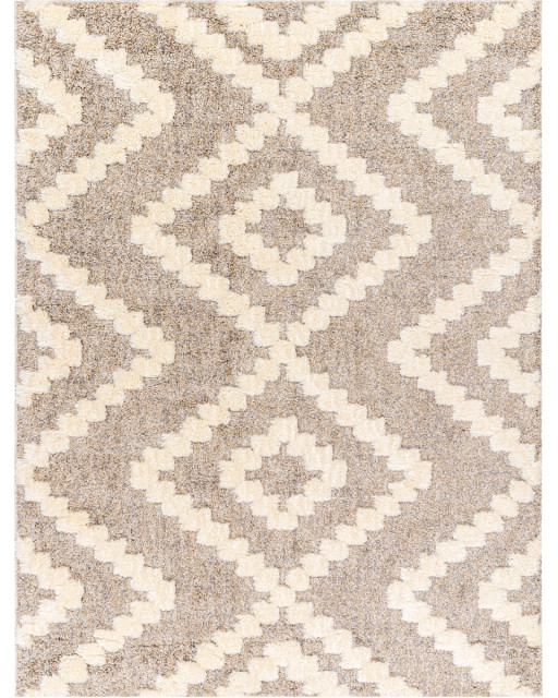 Florida Area Rug - Southwestern - Area Rugs - by PlushRugs | Houzz