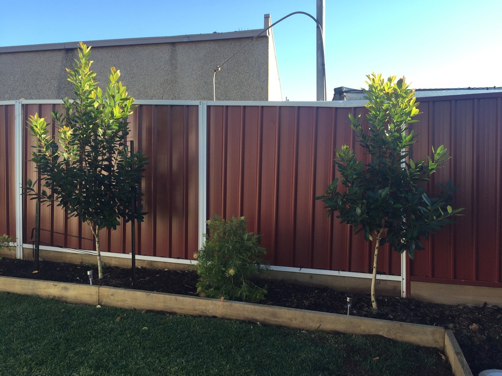 Best screening tree to 5m (Sydney, NSW) | Houzz AU