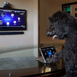 TVTI - Project Photos & Reviews - Chicago, IL US | Houzz