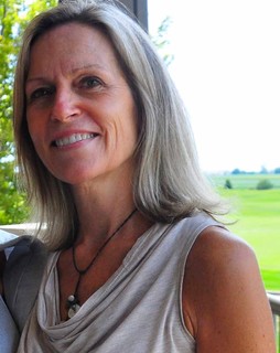 KATE GANGI ASID - Project Photos & Reviews - Oak Park, IL US | Houzz