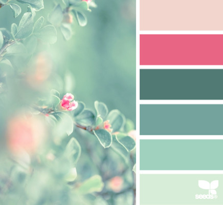 Pretty color combo | Houzz Forum