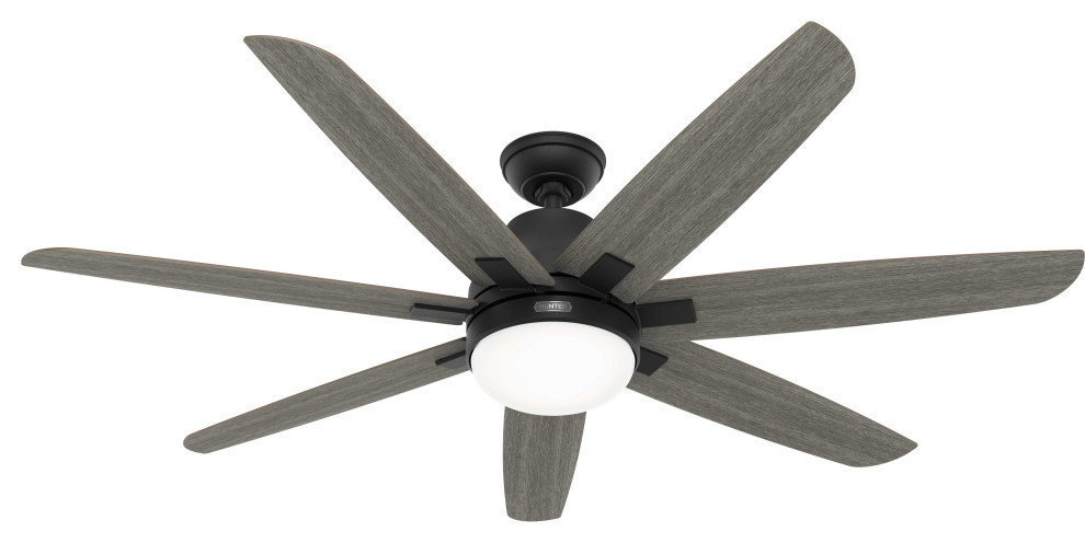 Hunter 60" Ceiling Fan With LED Light Kit and Wall Control ...