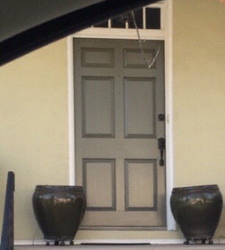 door sheen and color??