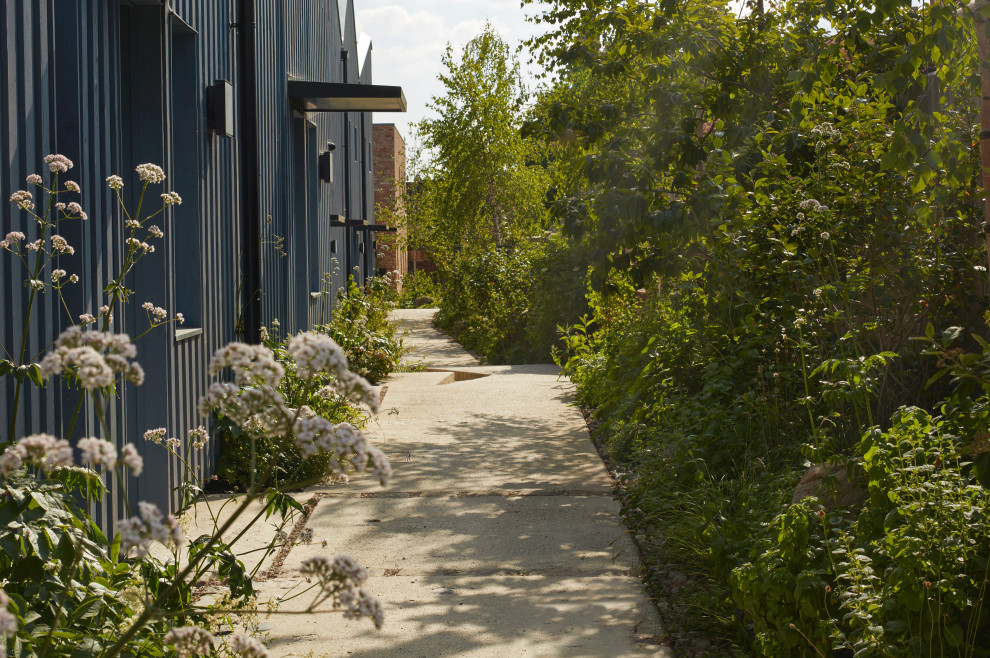 The Arbour Orford Rd - Landscape - London - by Wild City Studio | Houzz